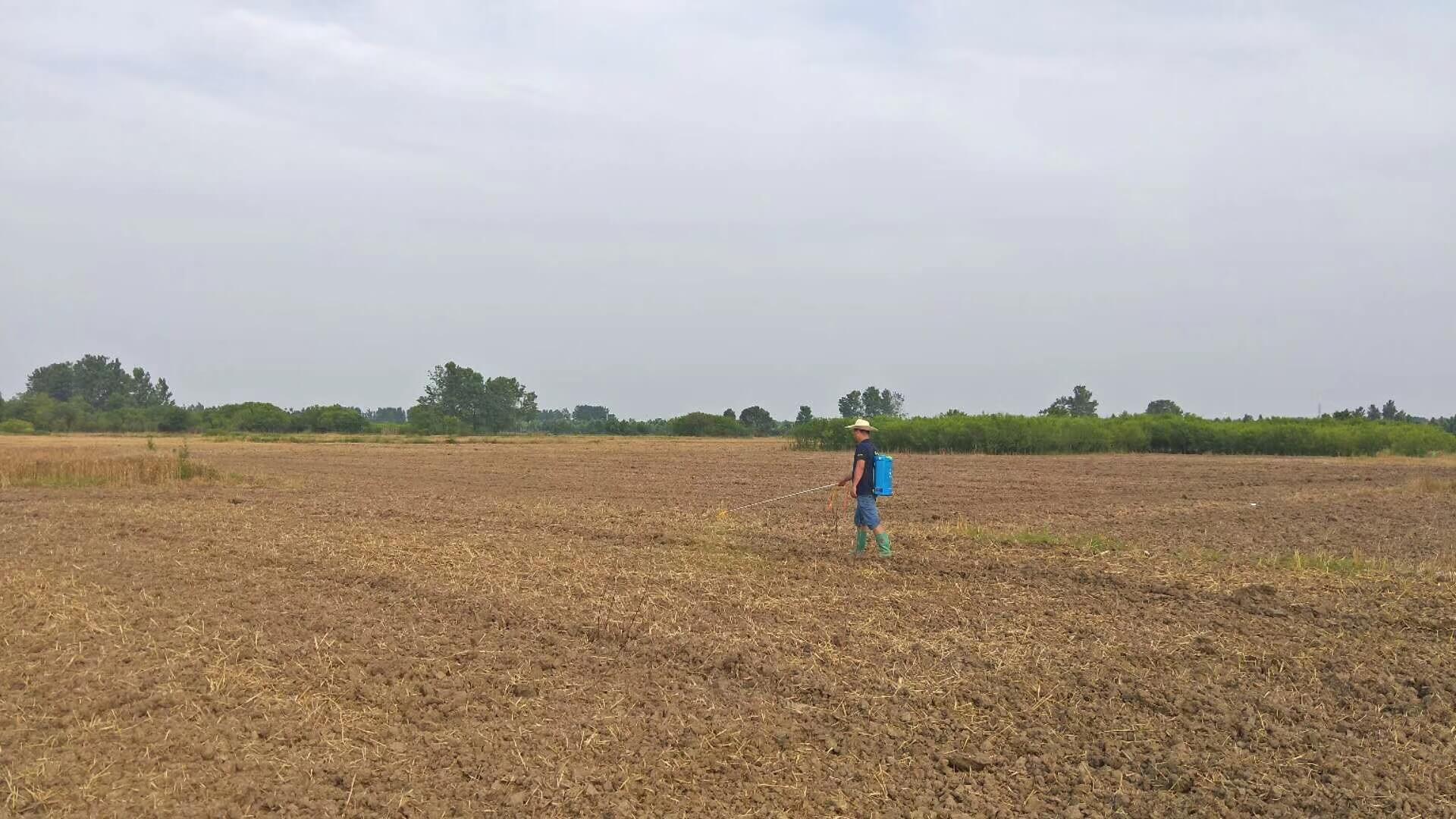 Chesen biochem best-selling chemical products overview