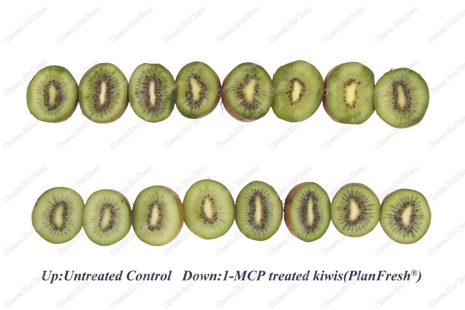 Postharvest Application of 1-MCP Extends Shelf Life of Kiwifruit